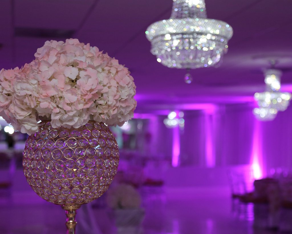 Wedding Gallery – Olga's Banquet Hall Miami | Miami Wedding Receptions