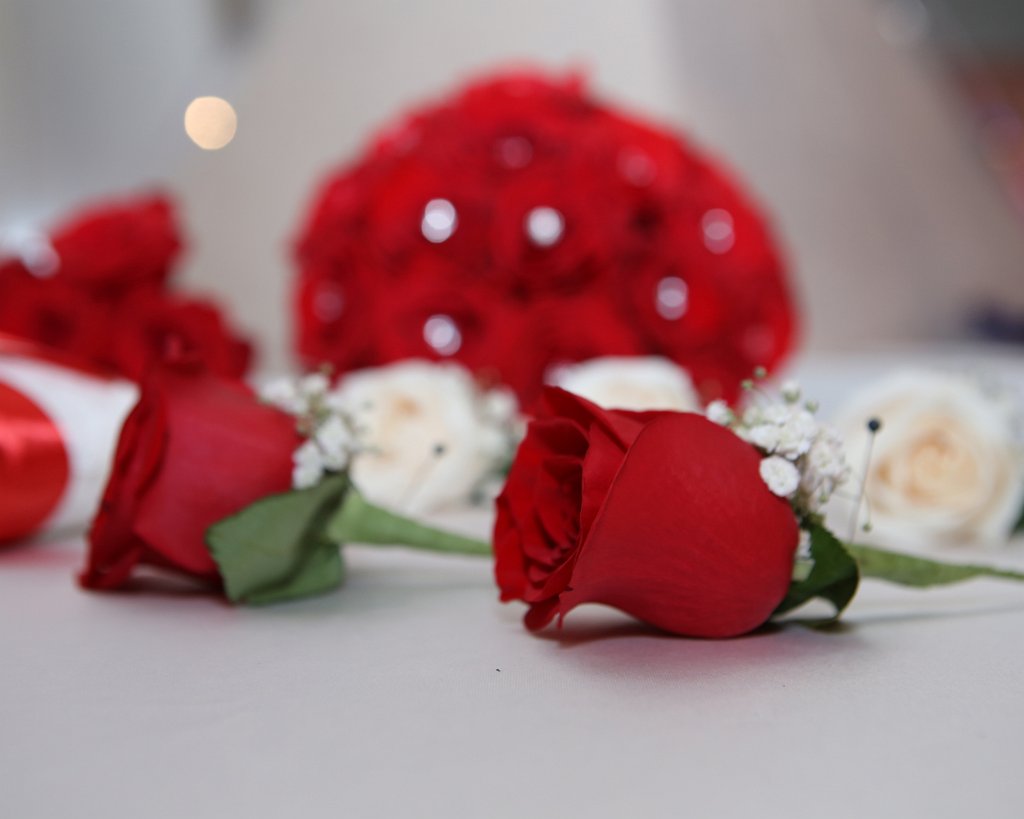 Wedding Gallery – Olga’s Banquet Hall Miami | Miami Wedding Receptions