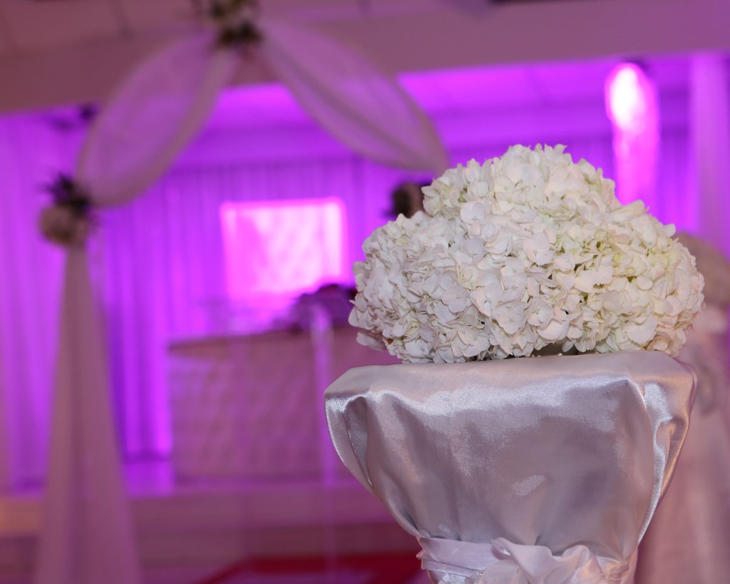 Wedding Gallery – Olga’s Banquet Hall Miami | Miami Wedding Receptions